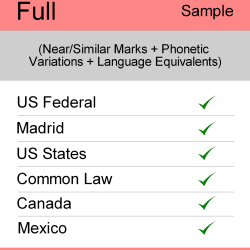 Trademark Searching Sample Reports – TMReady (Formerly The Trademark ...